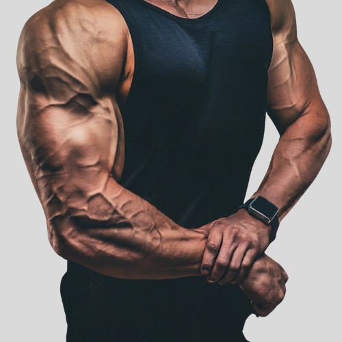 Building Giant Arms – Arm Labz